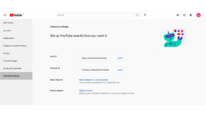 What is YouTube Channel ID? Find Channel ID, Stats & Key Info