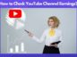 How to View YouTube Channel Statistics?