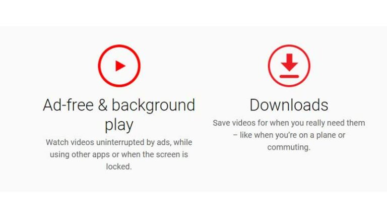 YouTube Student Plan? (Updated 2024) Beginner's Guide