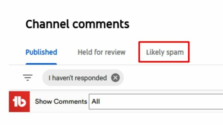 YouTube Spam Comments – How To Avoid / Handle Them? | Veefly