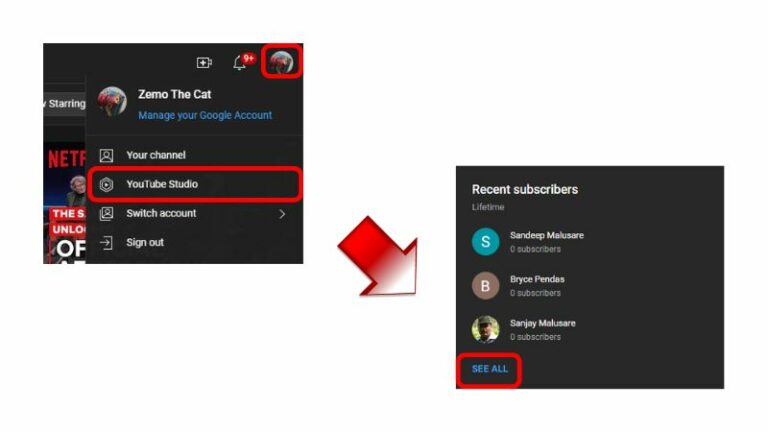 How Do You View Your Subscribers on YouTube - Complete Guide