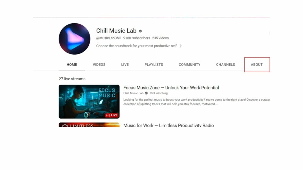 How To Report A Channel On YouTube? (Easy Steps)