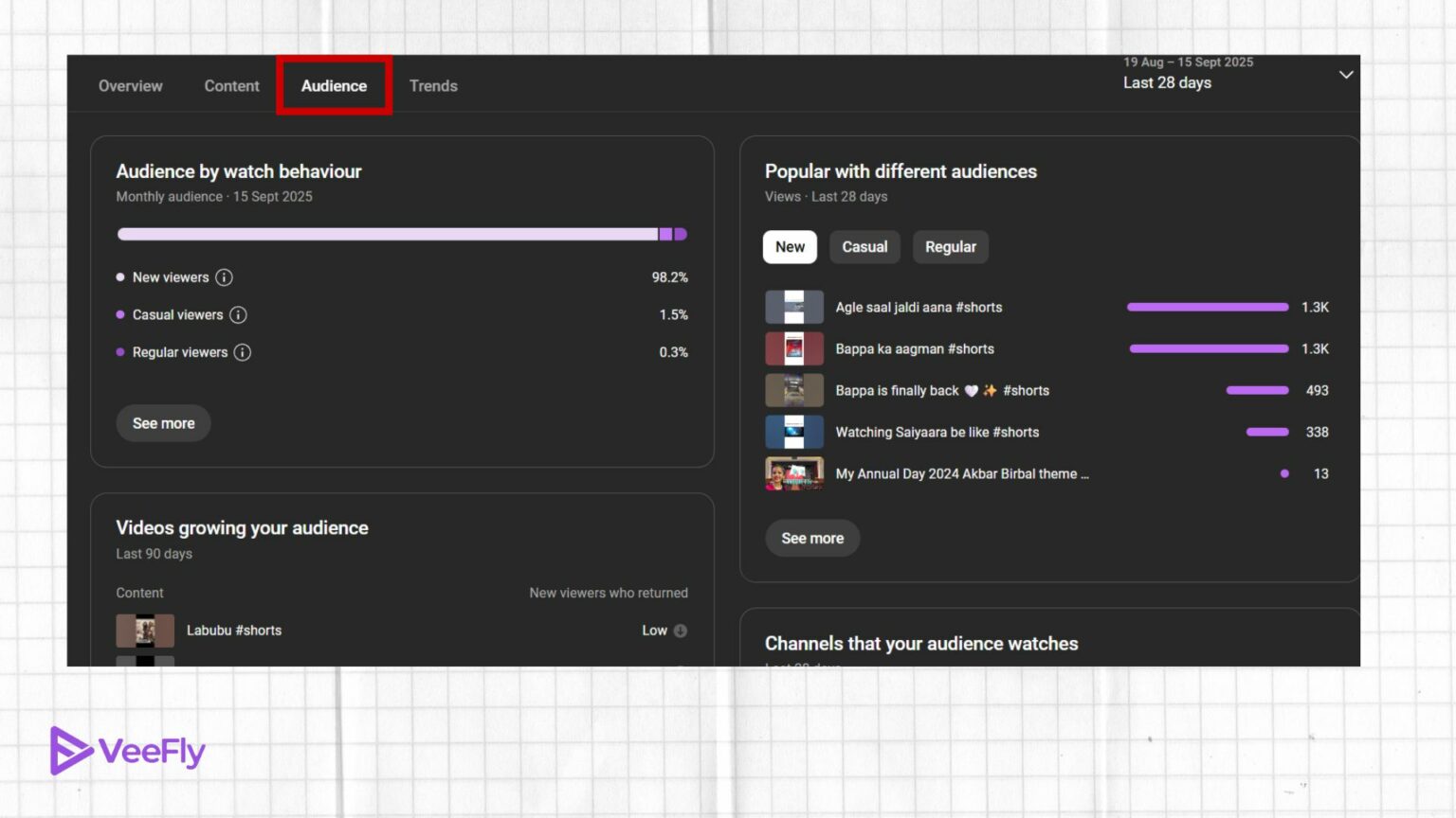 How to Do a YouTube Channel Audit in 7 Steps?