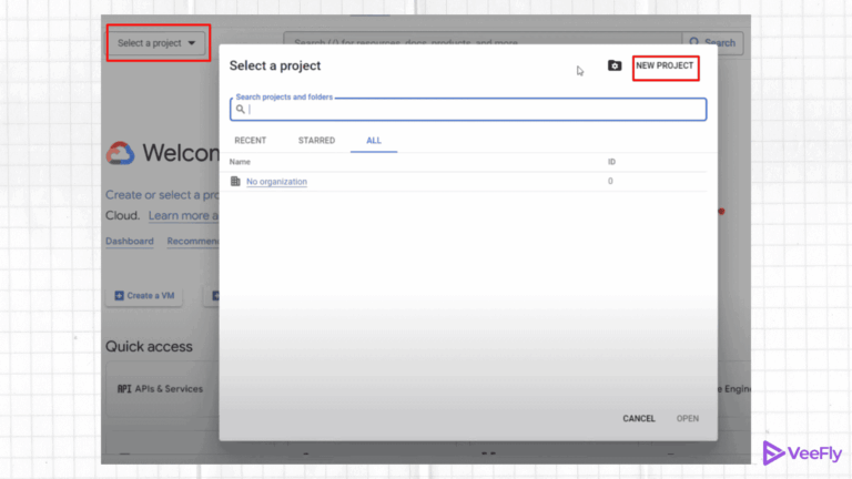 Integrate YouTube Live Streaming API for Your App - VeeFly Guide