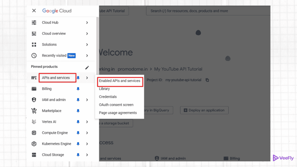 Integrate YouTube Live Streaming API for Your App - VeeFly Guide