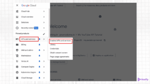 Integrate YouTube Live Streaming API for Your App - VeeFly Guide